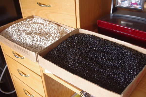 Boxes of Beans – Meyer Farm Project